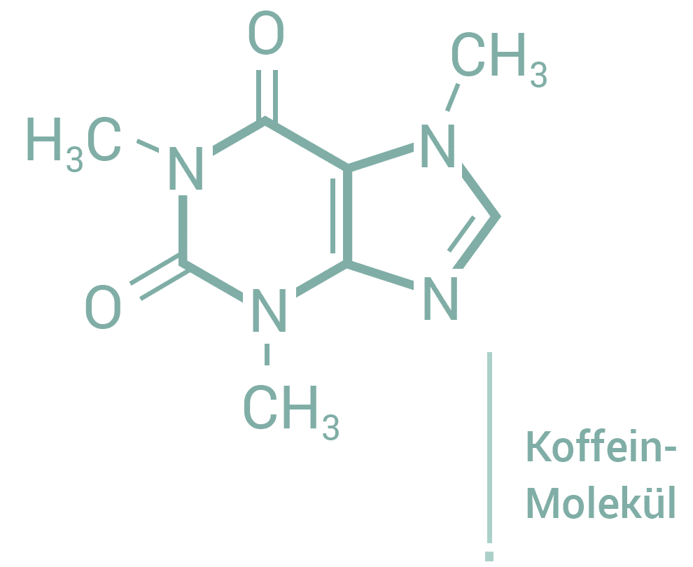 Caffeine Connection – philou.